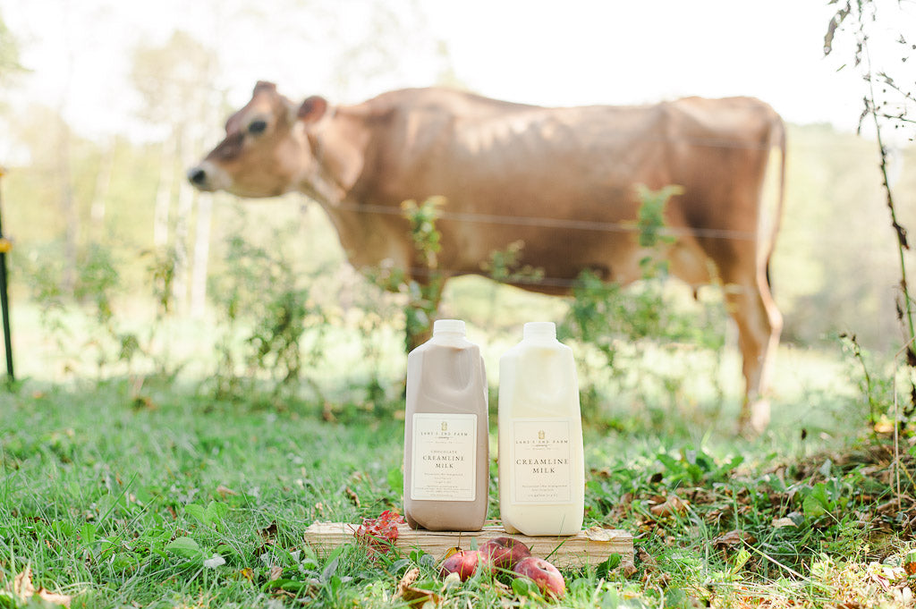 Fresh Pasture: It's a Flavor. – Lane's End Farm Creamery