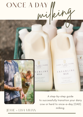 Once A Day (OAD) Milking: A Complete Guide. – Lane's End Farm Creamery